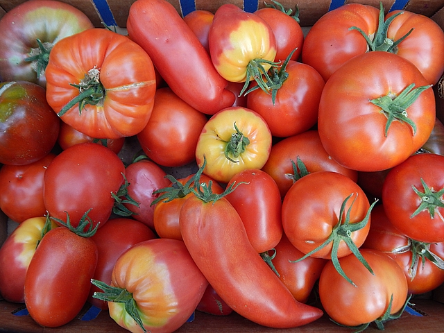 Fresh Tomatoes – Twice as Tasty