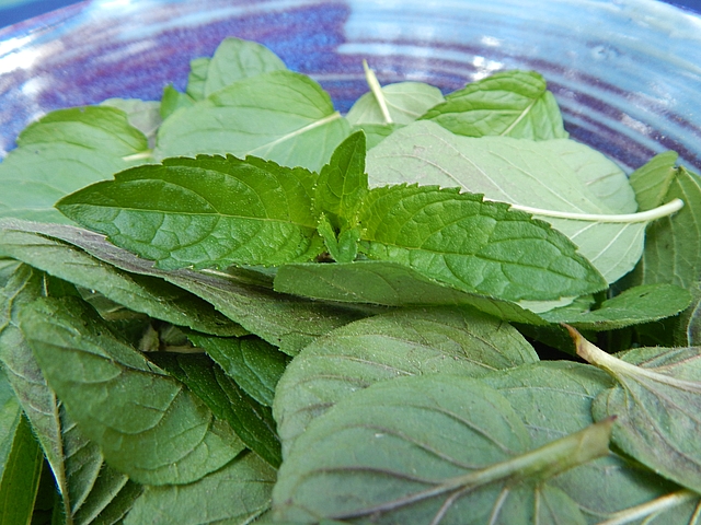 Mint – Twice as Tasty