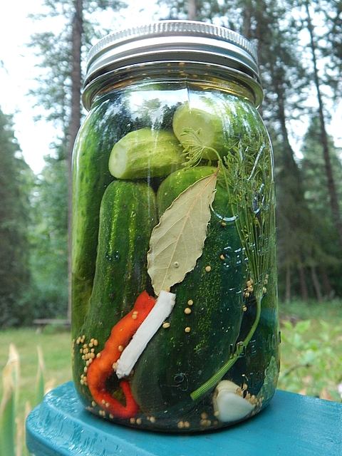 Classic Pickles – Twice as Tasty
