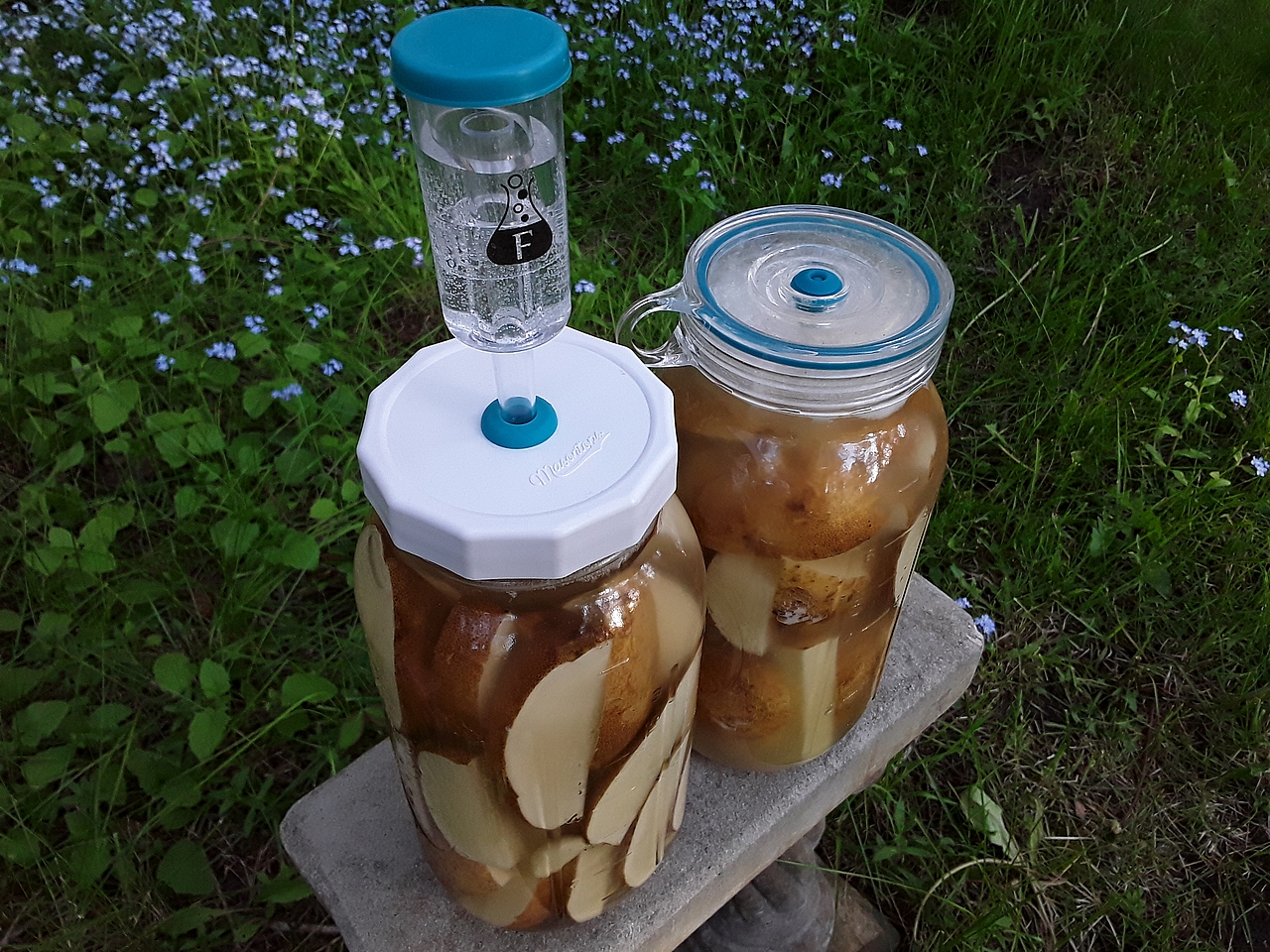 Fermenting Tools – Twice as Tasty