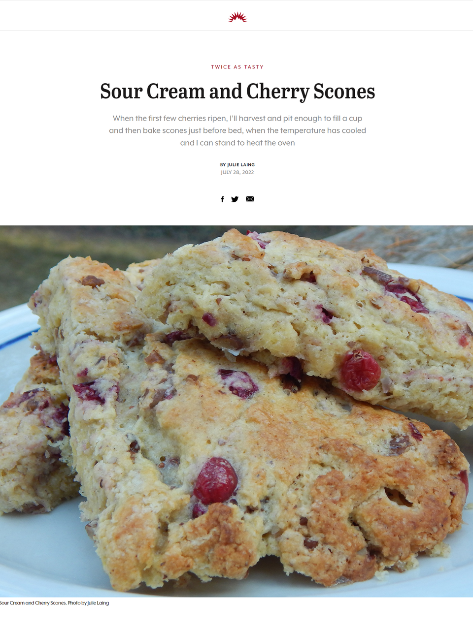 Sour Cream and Cherry Scones – Twice as Tasty